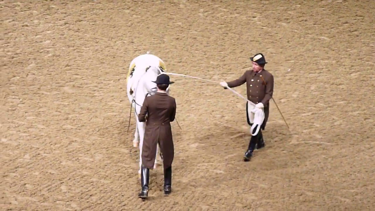 The Spanish Riding School of Vienna - YouTube