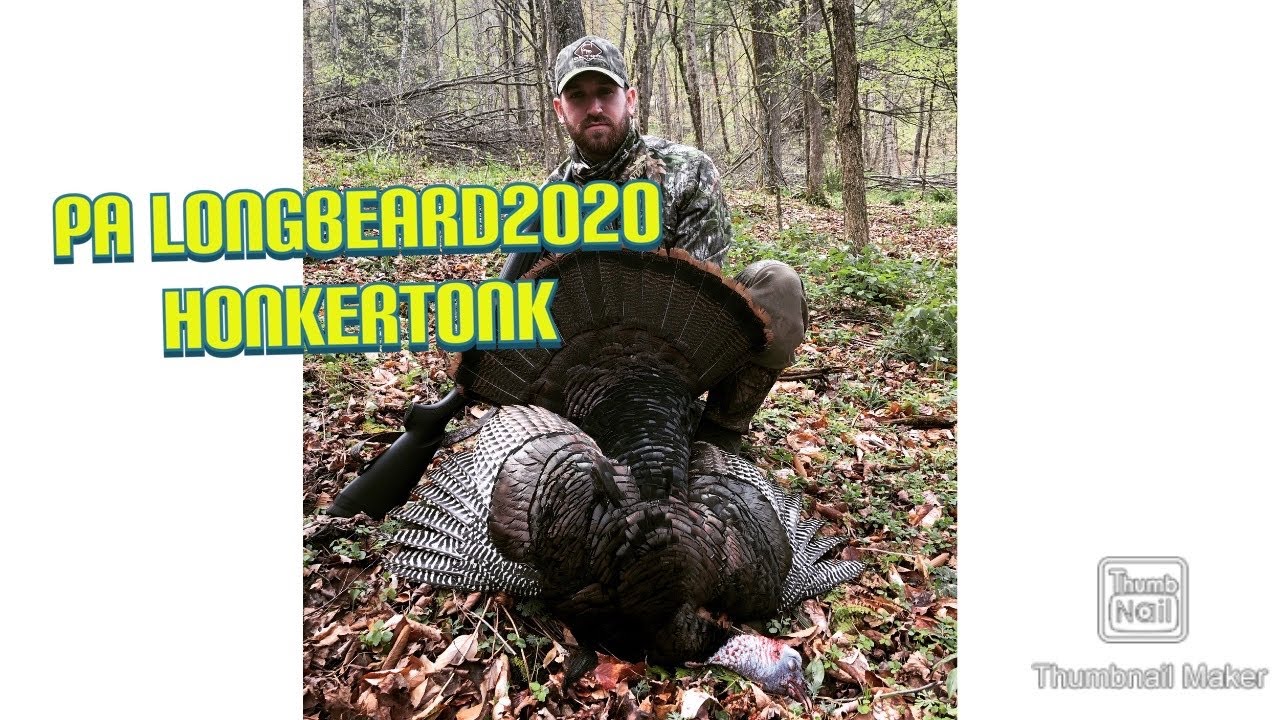 Pa Turkey hunt; 2020 spring gobbler - YouTube