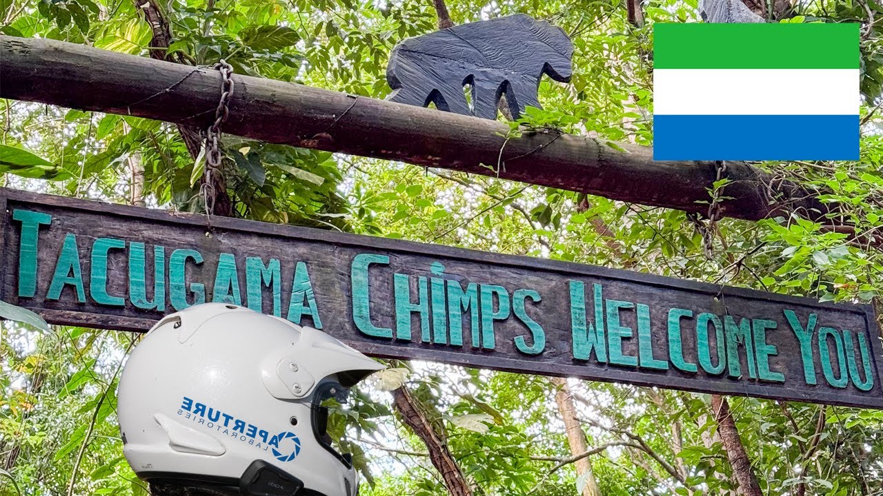 Visitando Tacugama, Santuario de Chimpancés en Freetown 🇸🇱 - África ...