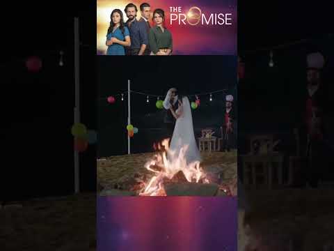 Emir ve Reyhan’dan karşılıklı zeybek şov #reymir #promise #shorts