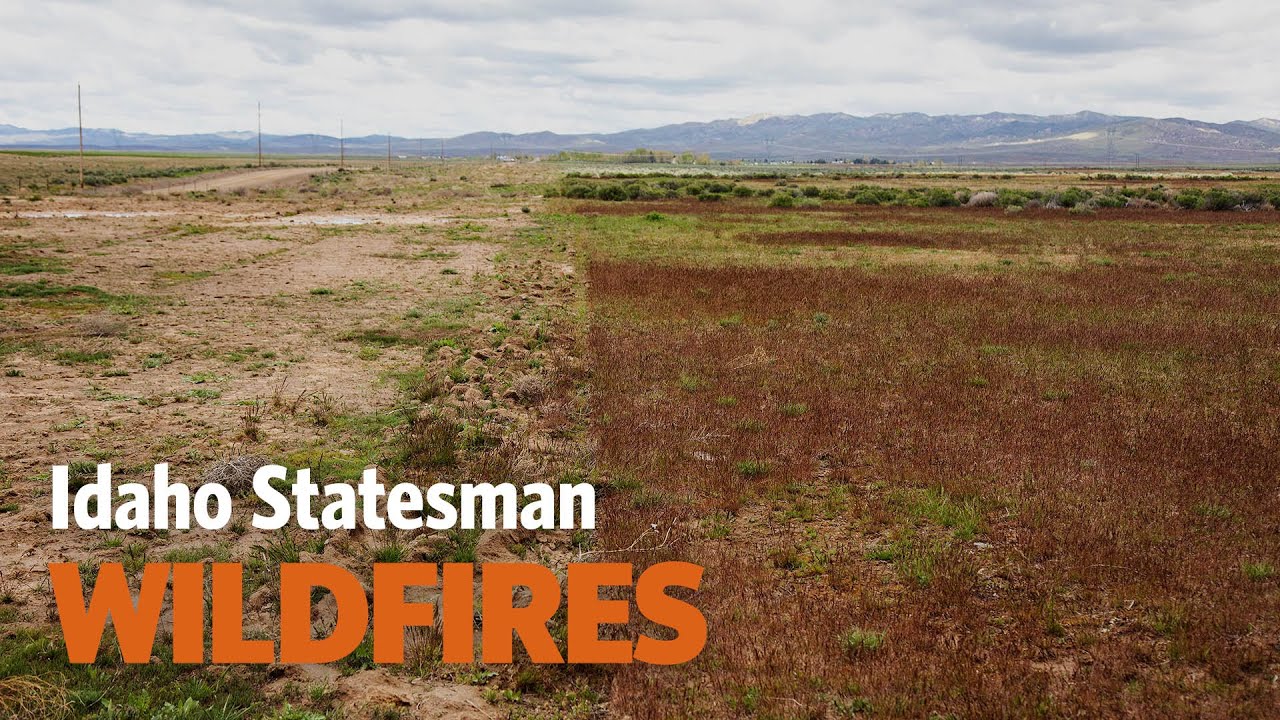 What Is A Fire Break & How Does It Work? - YouTube