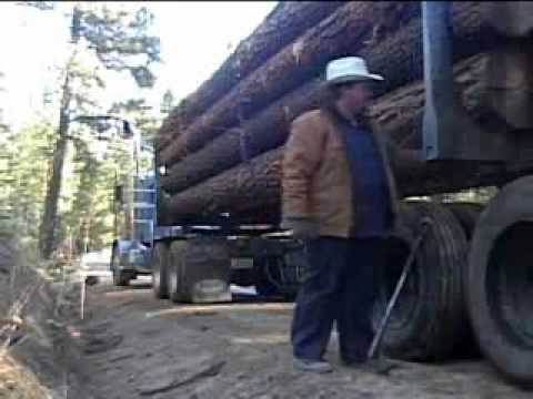 Hauling logs - YouTube