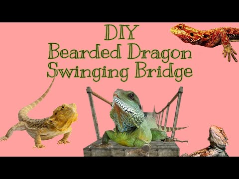 DIY Bearded Dragon Swinging Bridge / Hide - YouTube