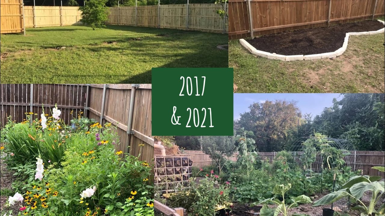 Our 4 Year North Texas Permaculture Gardening Transformation - YouTube