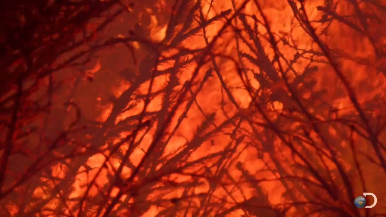 Filming a Raging Forest Fire North America - YouTube