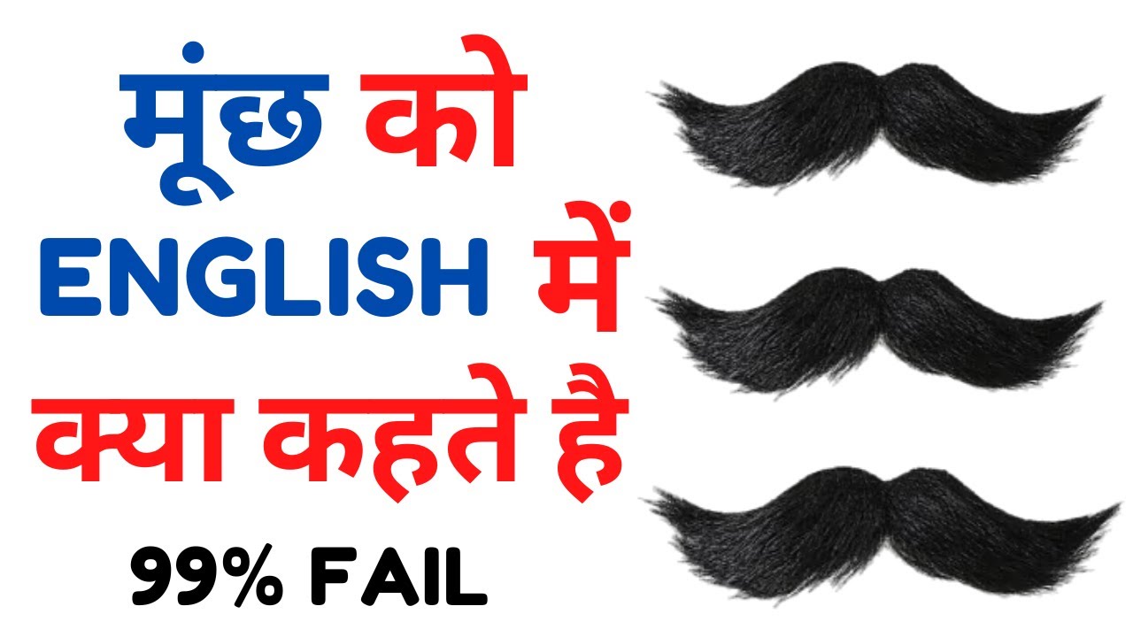 मूंछ को अंग्रेजी में क्या कहते है ? What is Mooch meaning in english ...