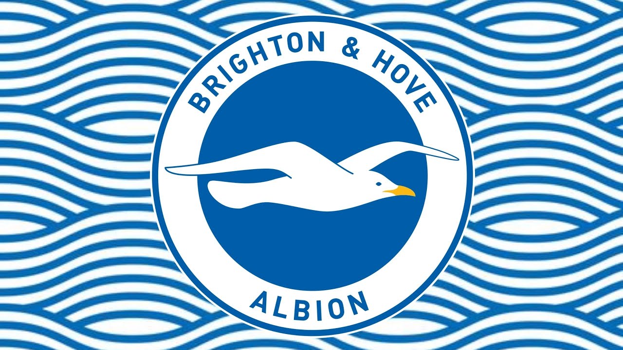 The History of Brighton & Hove Albion! - YouTube
