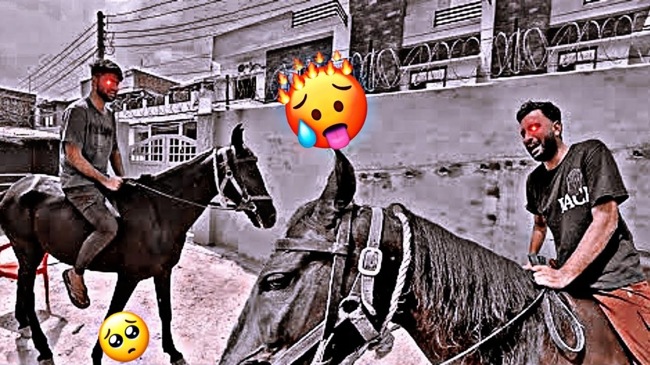 4 MILLION 🤩 Edits ft sher mein dehat | shehr main dihat | sher mein ...