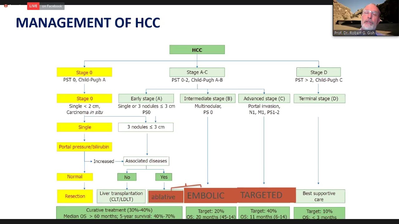 Update On HCC Management - YouTube