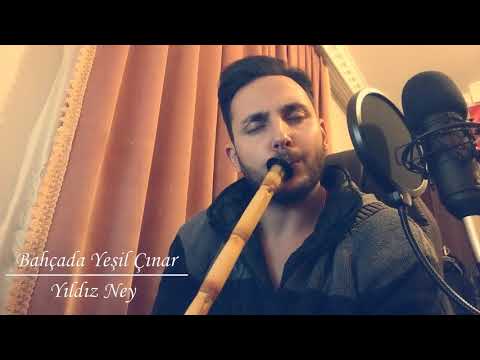 Sevcan Orhan Bahçada Yeşil Çınar - Ney