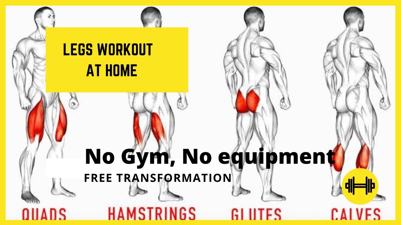 Full Legs workout at home| No equipment| Best workout for legs| Free ...