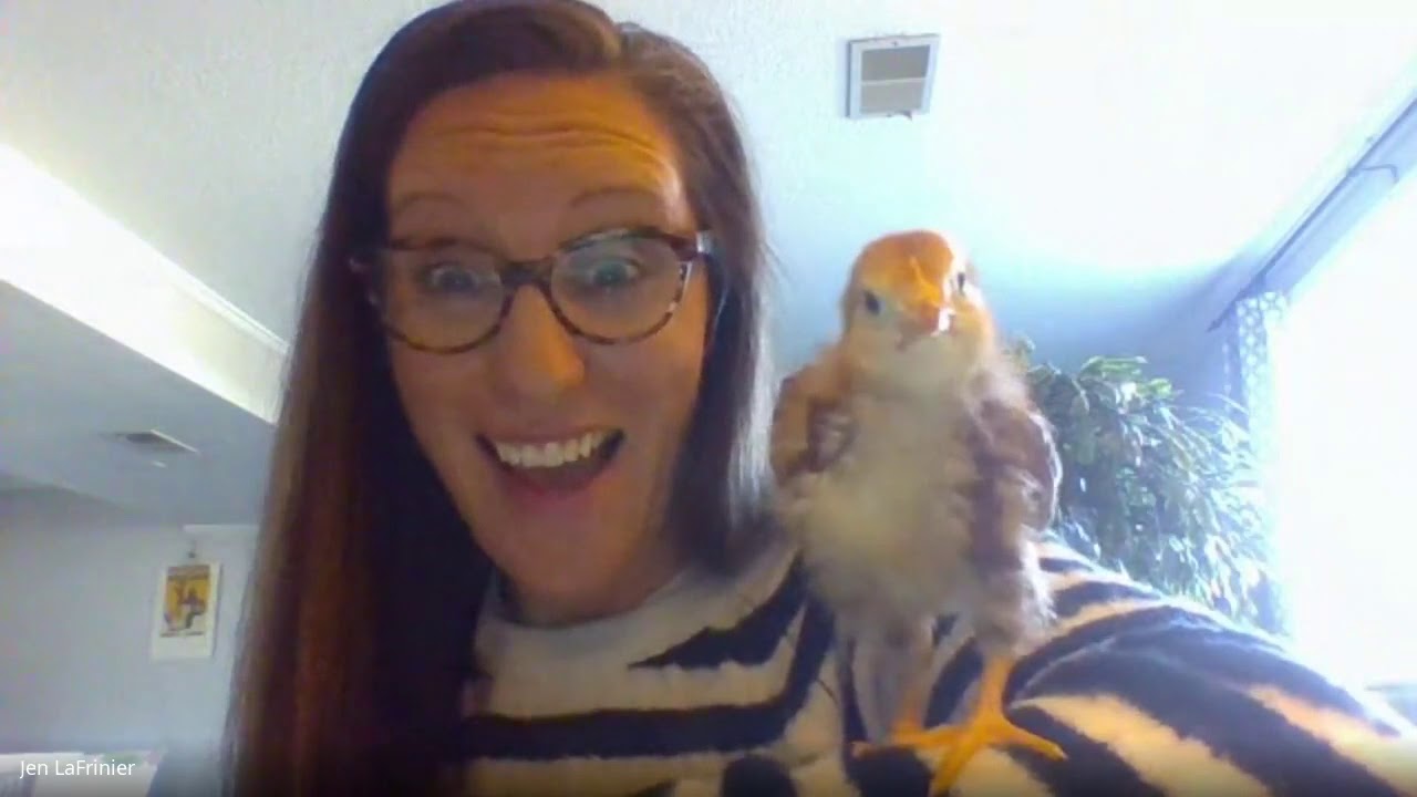 Science - Chicks - YouTube