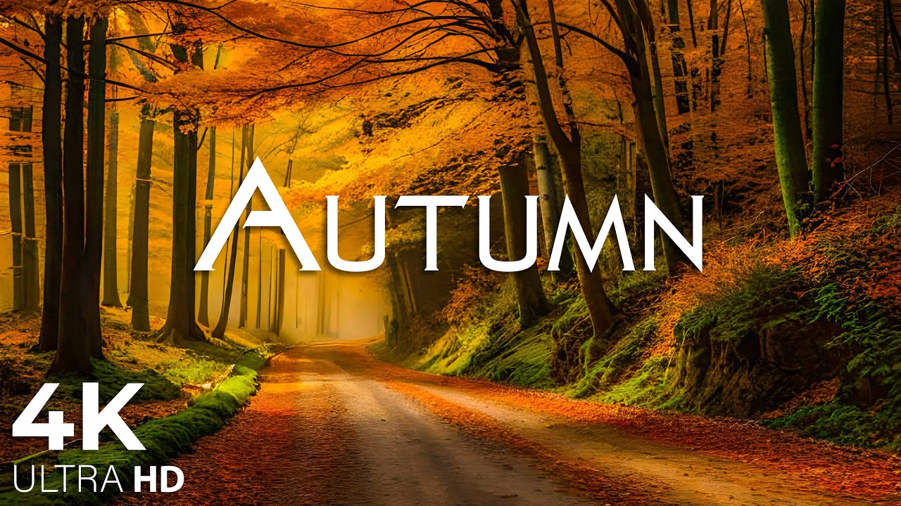 Enchanting Autumn Forests with Beautiful Piano Music🍁4K Autumn Ambience ...