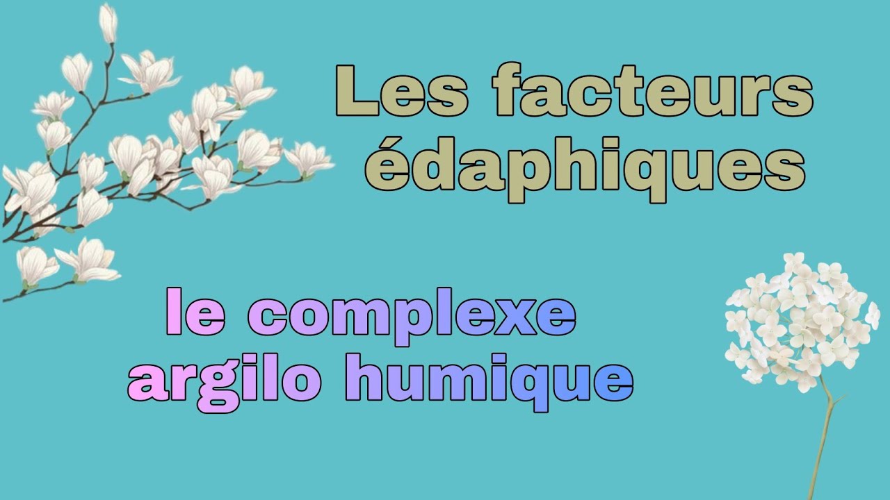 les facteurs édaphiques : le rôle du complexe argilo humique - YouTube