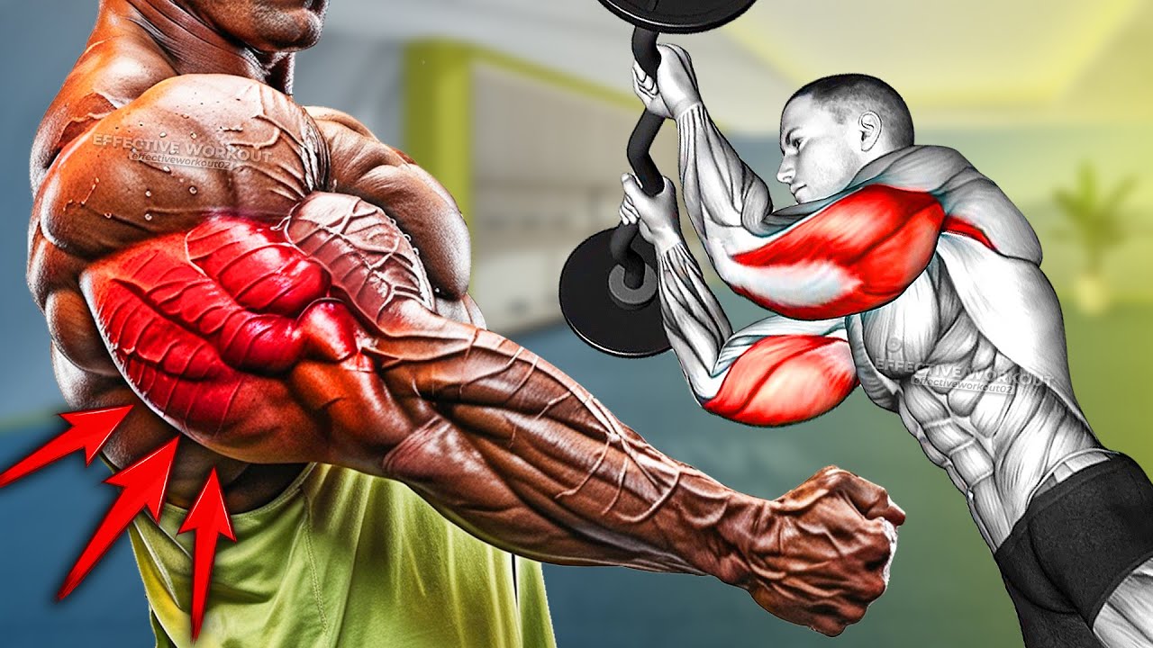 5 Most Effective Triceps Exercises - YouTube