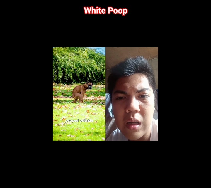 White Poop @zackdfilms - YouTube