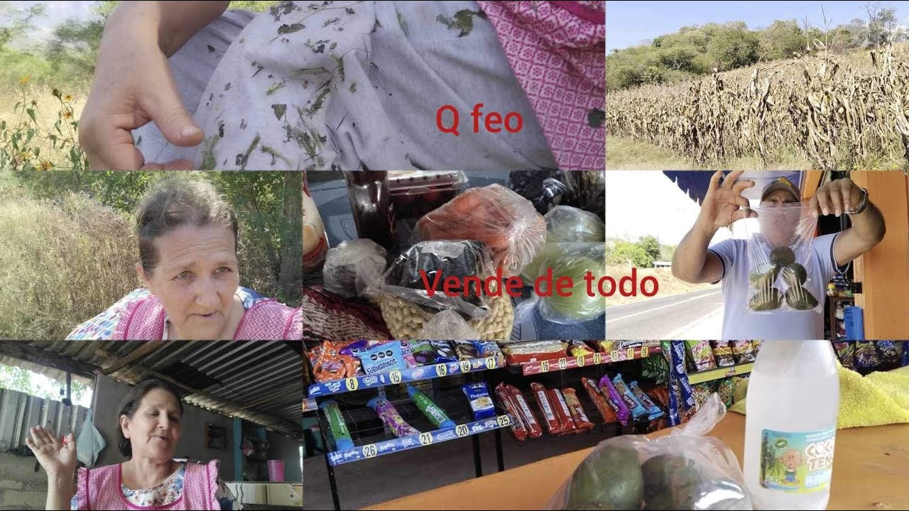 don Paco vende de todo)(esto fue lo que compre)(juntando tomates que ...