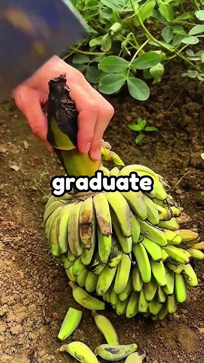 Have you ever solved someone else's problem by accident? - YouTube