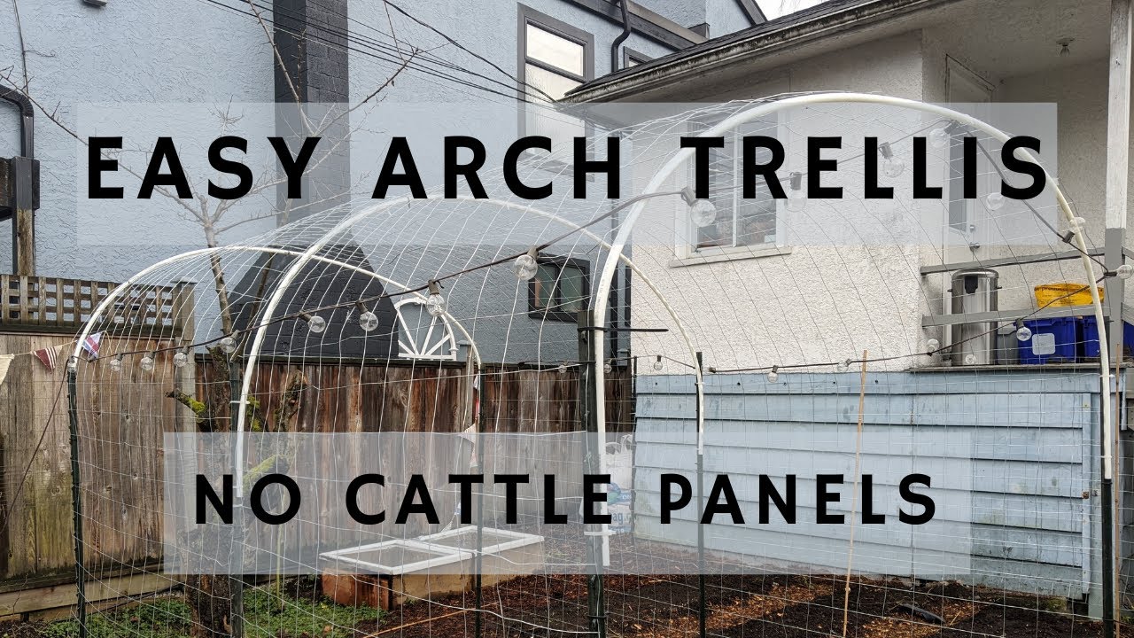Arch Trellis & Hoop House DIY | Cheap & Easy How-To | Calliope Flower ...