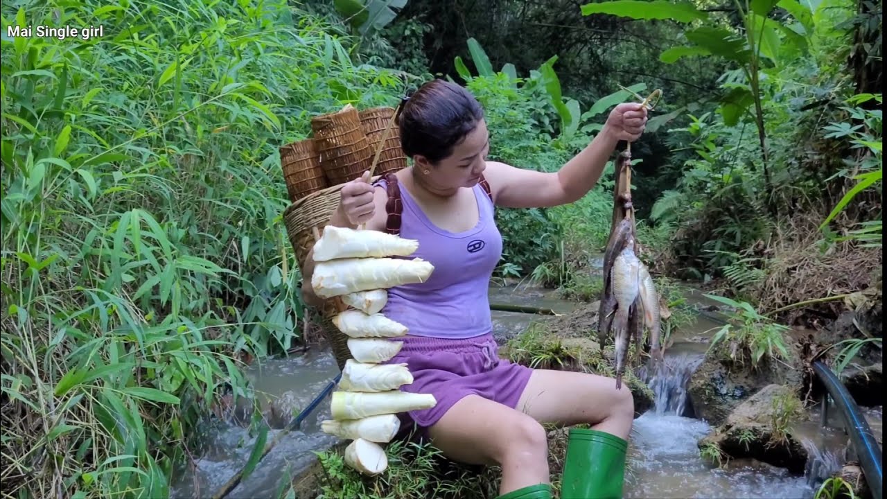 FULL VIDEO: asian girl catching fish with a bamboo basket, harvests ...