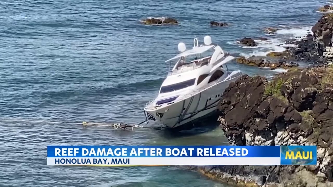 'Angry' activists claim tour boat damaged reef at Honolua Bay - YouTube