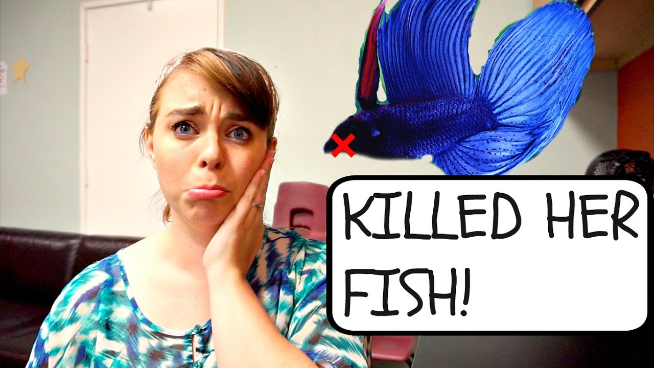 FISH TANK DISASTER | Learn From My Mistakes - YouTube