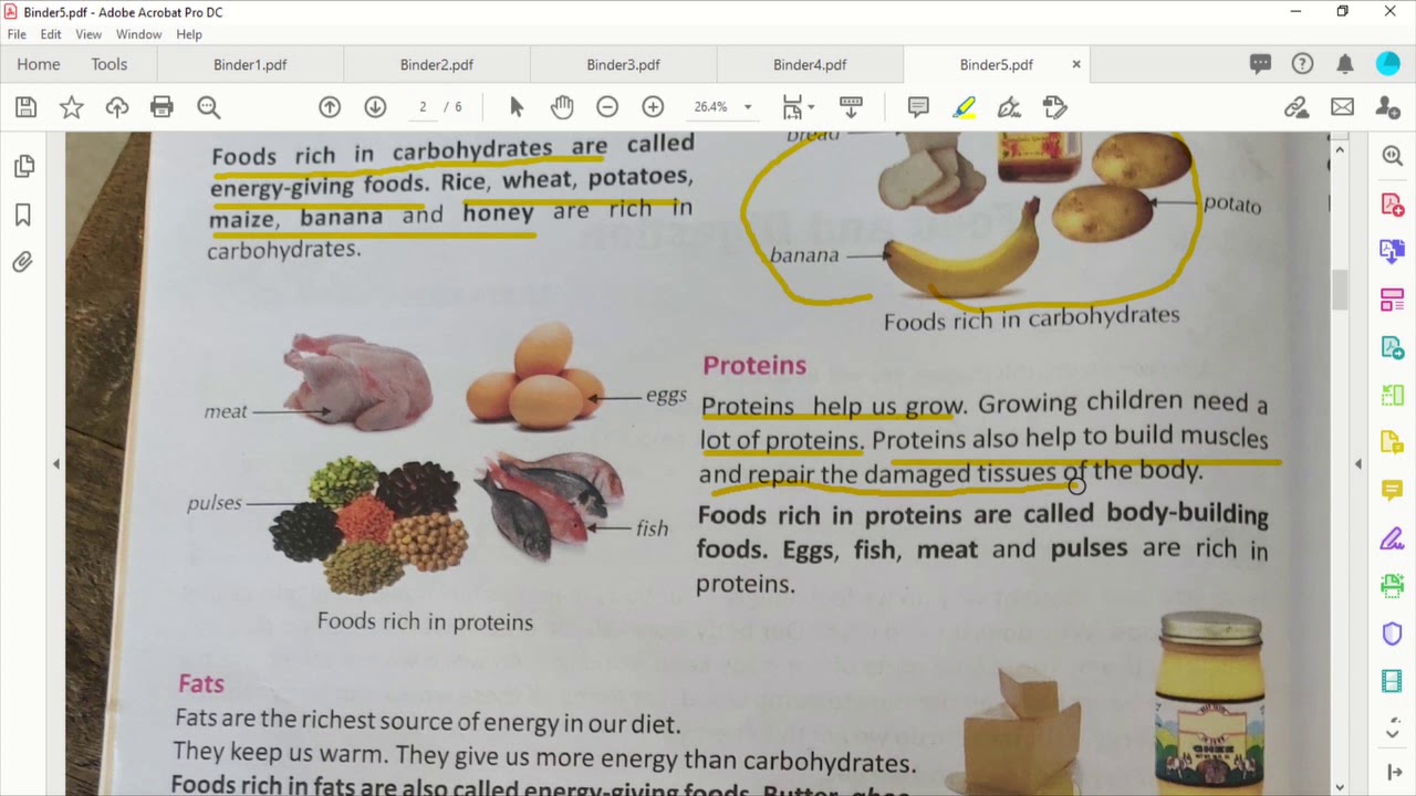 Class 4 Science Chapter 1 part 1 - YouTube