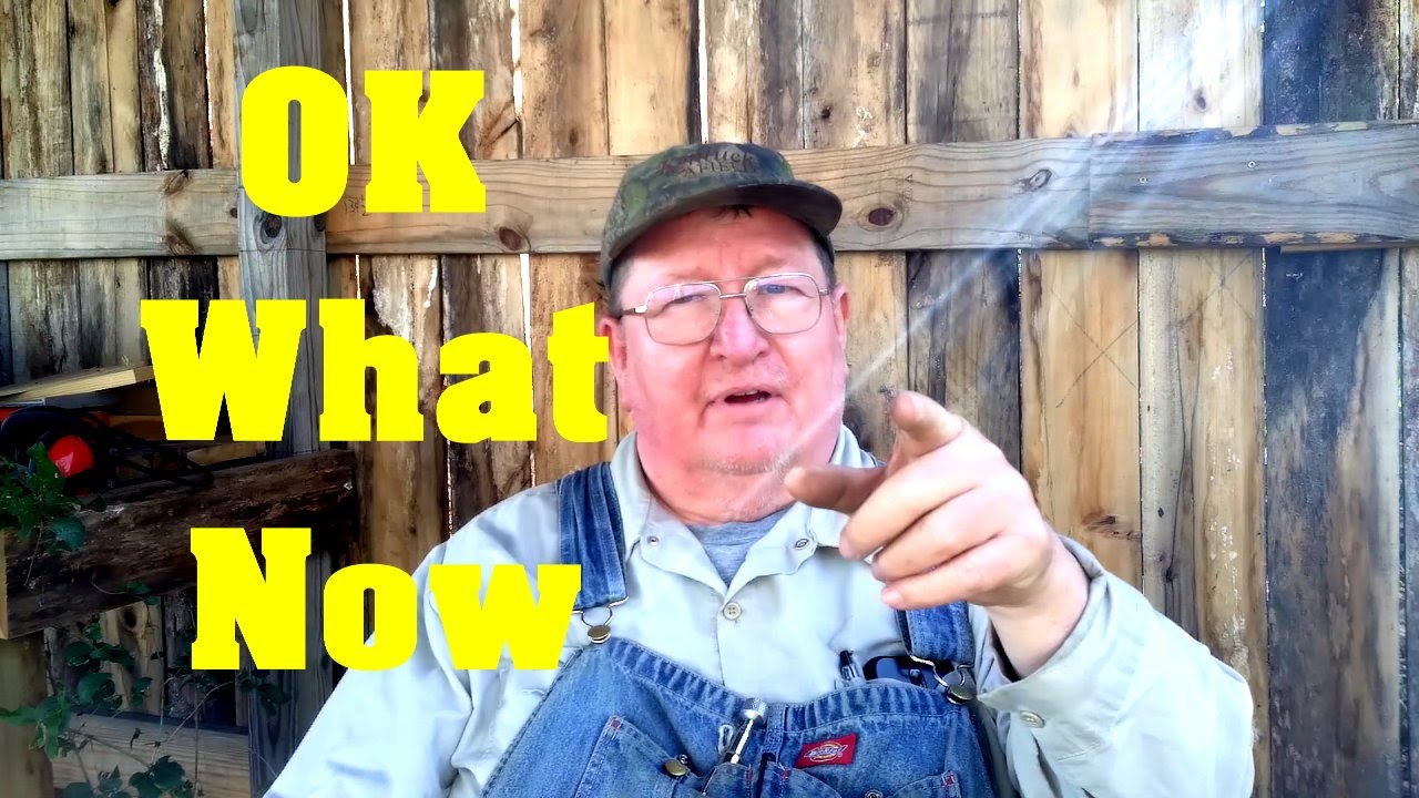 How To Start a NEW HOMESTEAD - Sage Advice From the Tractor Shed # ...