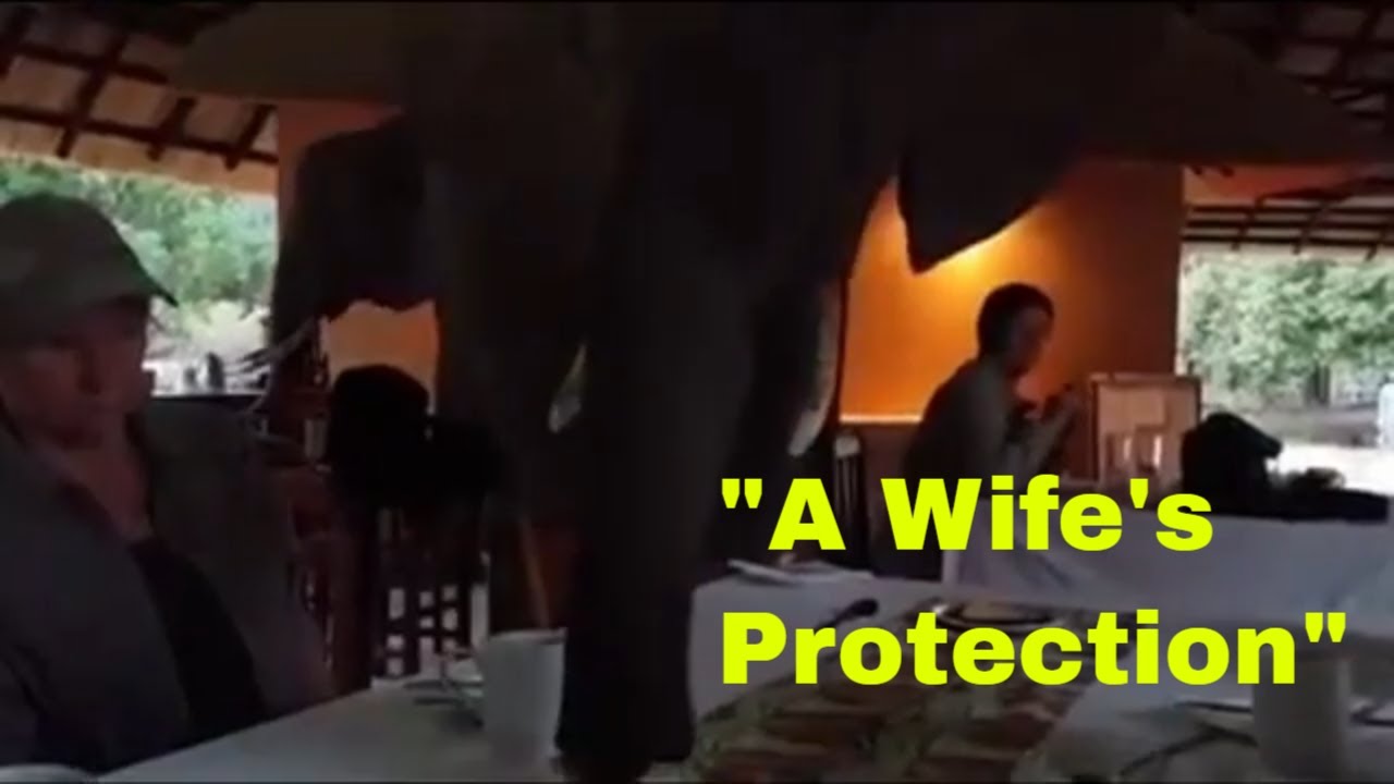 Couples: "A Wife's Protection" with Judy, from chapter 10 of "If You ...