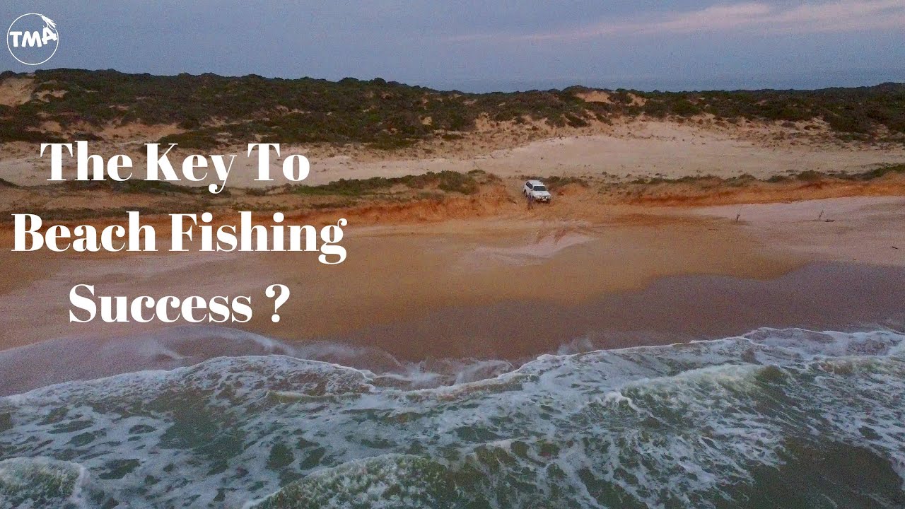 THE KEY TO BEACH FISHING SUCCESS ? Ep 67 TIP'S & TACTIC'S - YouTube