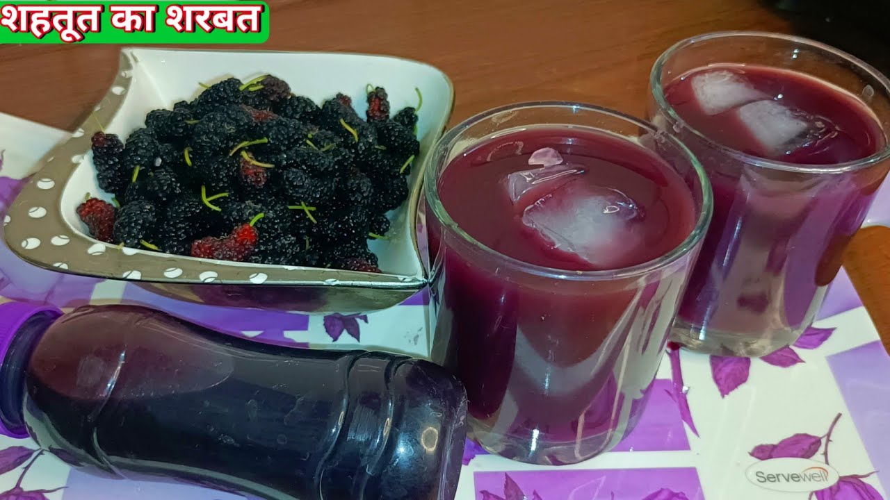 शहतूत के फायदे /शहतूत का शरबत कैसे बनाएं / How to make Mulberry Sharbat ...