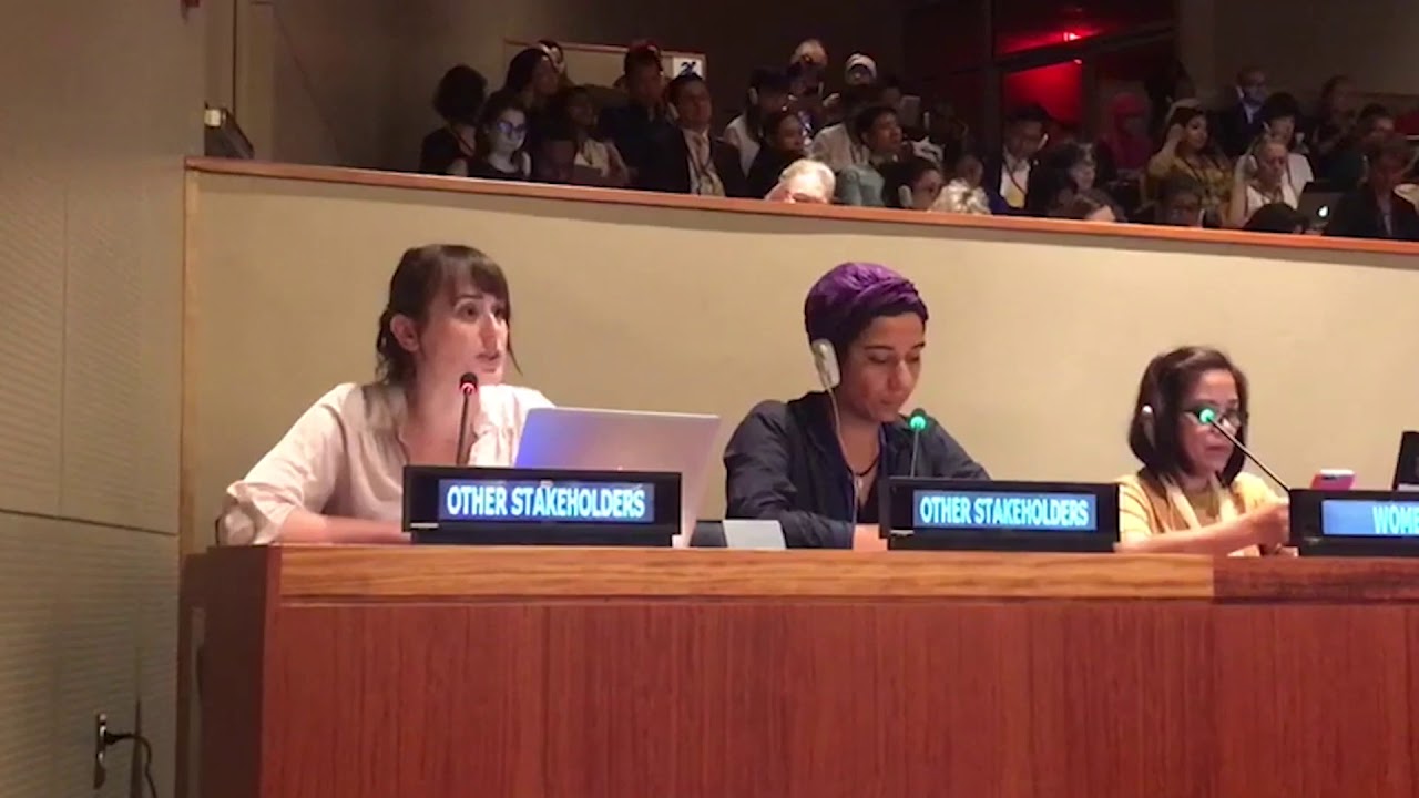HLPF 2019: Lucy Pearson intervention on behalf of the Sendai ...