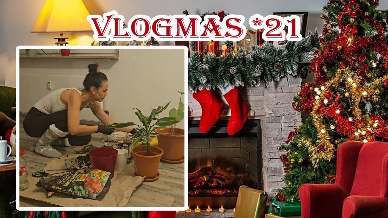 VLOGMAS *21. Немного декорирую в доме. Пересаживаю цветы. - YouTube
