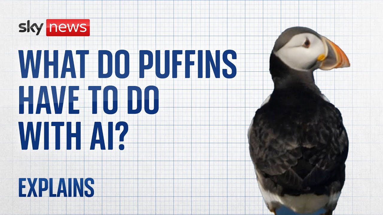 Artificial Intelligence: What do Puffins have to do with AI? - YouTube