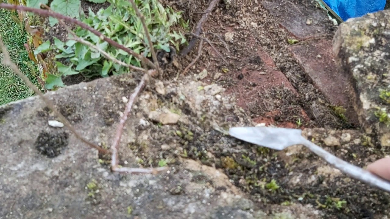 Sandstone repairs, how to prepare the surface - YouTube