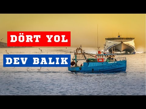 DÖRTYOL BALIK AVI - MUHTEŞEM TEKNE BALIK AVI - ACIK DENİZDE YÜZDÜK - KOMİK FIKRA