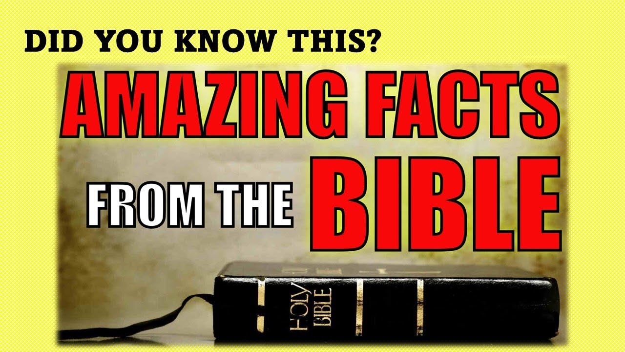 DID YOU KNOW THIS? AMAZING FACTS FROM THE BIBLE. - YouTube