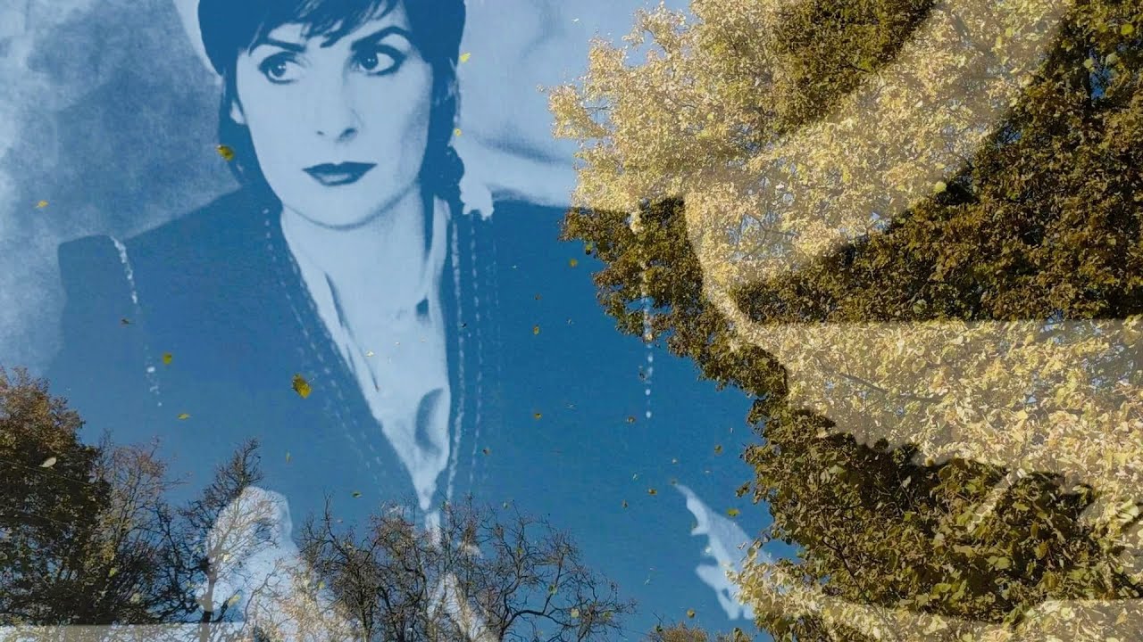 Enya - The Memory of Trees (Original Instrumental) - YouTube