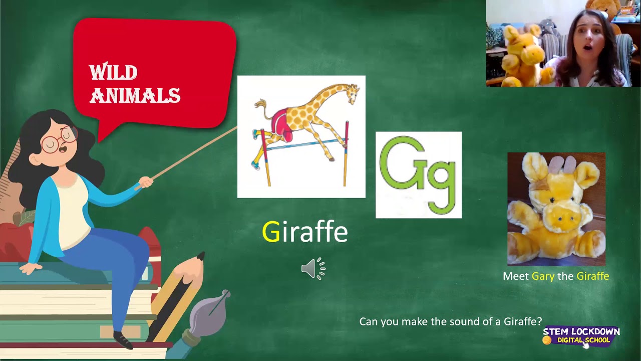 Grade R Literacy Wild Animals - YouTube