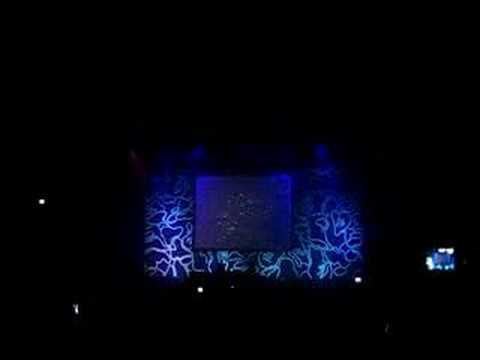 WORLD WIDE BAPE HEADS Live SHOW 2008 HKONG - OPNINGe - YouTube