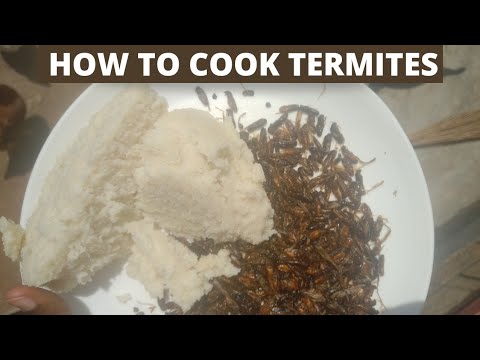 How to cook termites#village life - YouTube