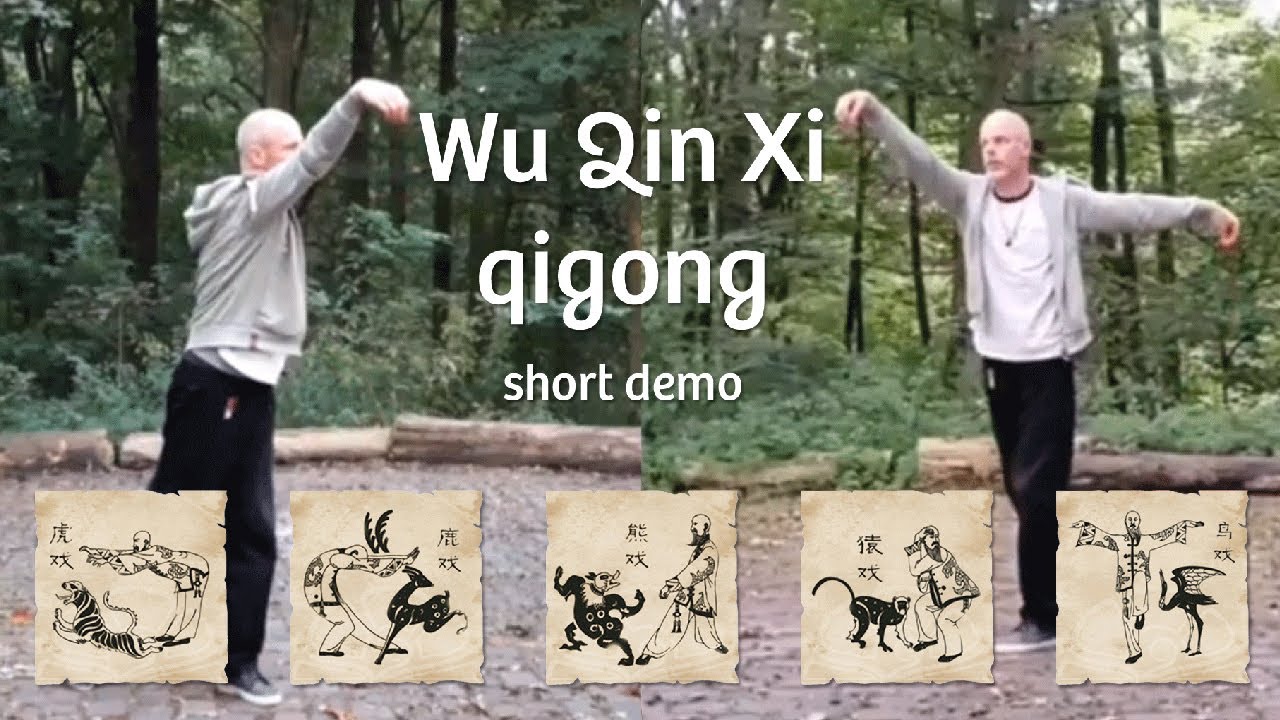 Wu Qin Xi (5 animal classics) qigong demo in short | by @NieuweDagNL ...