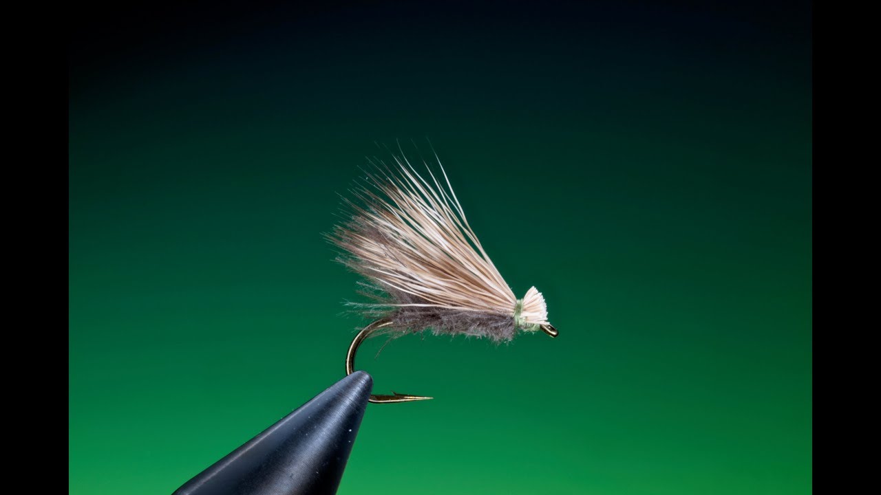 Fly Tying a CDC Elk hair caddis/sedge with Barry Ord Clarke - YouTube