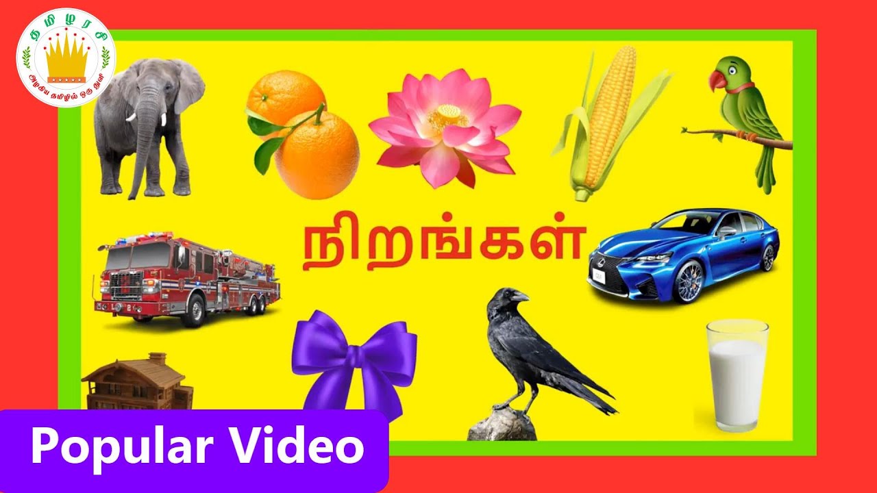 நிறங்கள் | வண்ணங்களின் பெயர்கள்| Learn colours in Tamil for Kids and ...