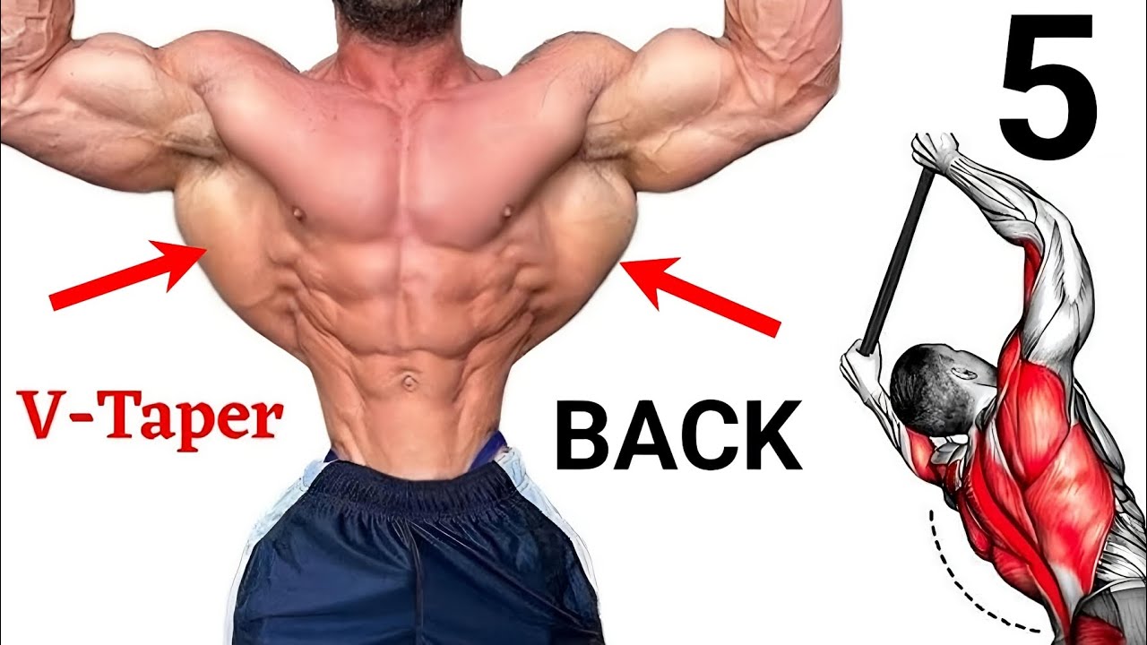 The Best Back Workout Routine - YouTube