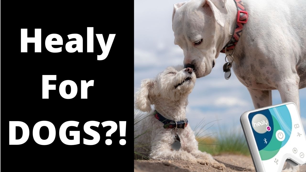Healy For Dogs || Dog And Healy || Healy And Dogs || Can I Use Healy On ...