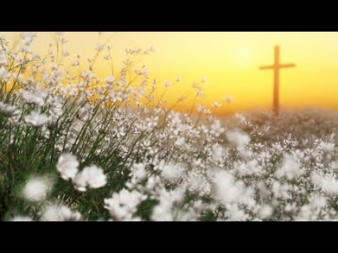 Verse-by-Verse: Psalm 46-47 - YouTube