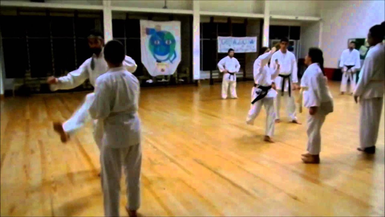 Estágio Karate Jutsu Hiji ate goho & keri happo - YouTube