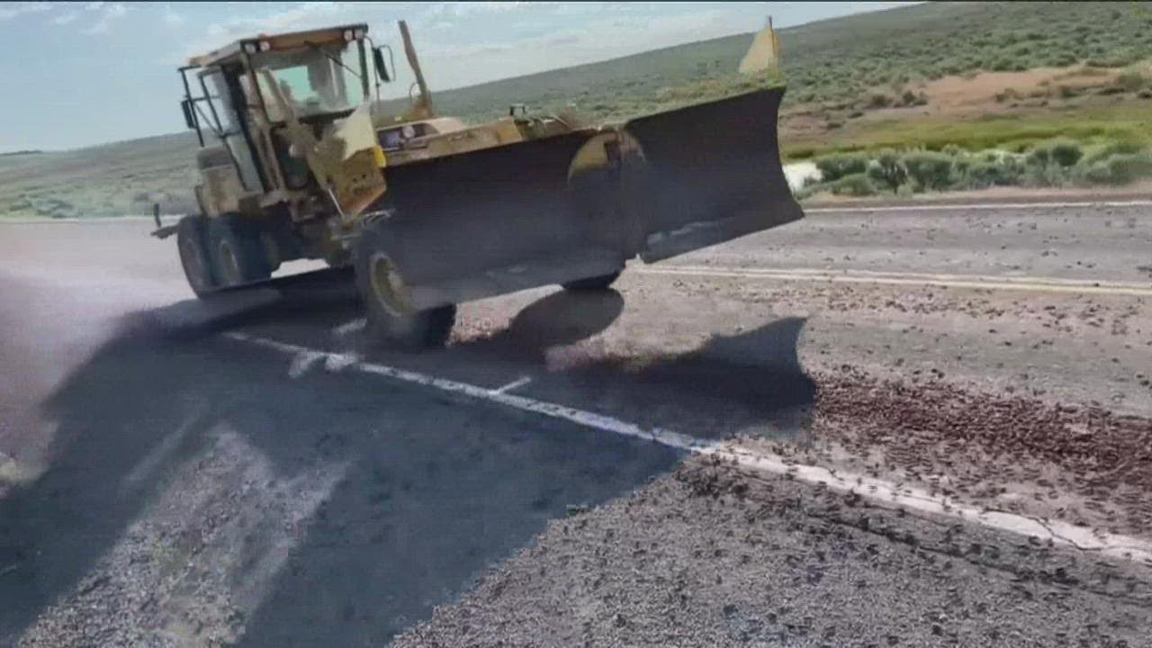 Mormon crickets swarm roads south of Mountain Home - YouTube