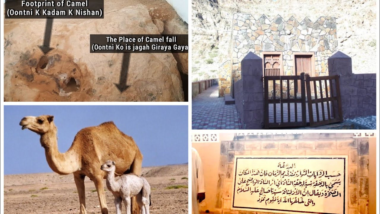 Nabi Saleh ka Roza Oman | Camel Footprint | Story of Thamoud نبی صالح ...